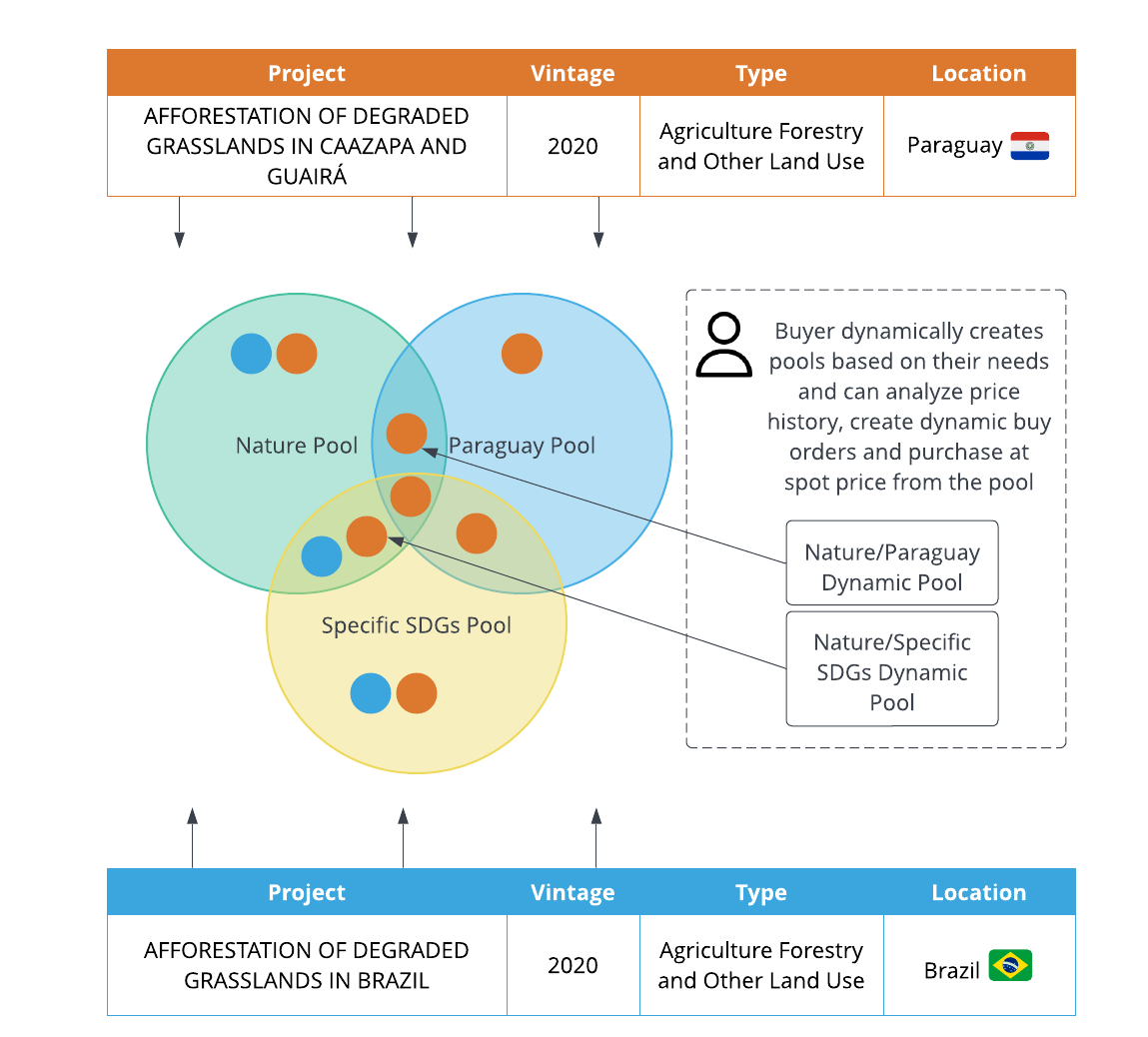 Carbon Credit Dynamic Pooling – What is it? – Thallo