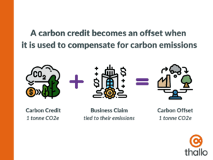 The Price of Carbon Credits: An Overview – Thallo